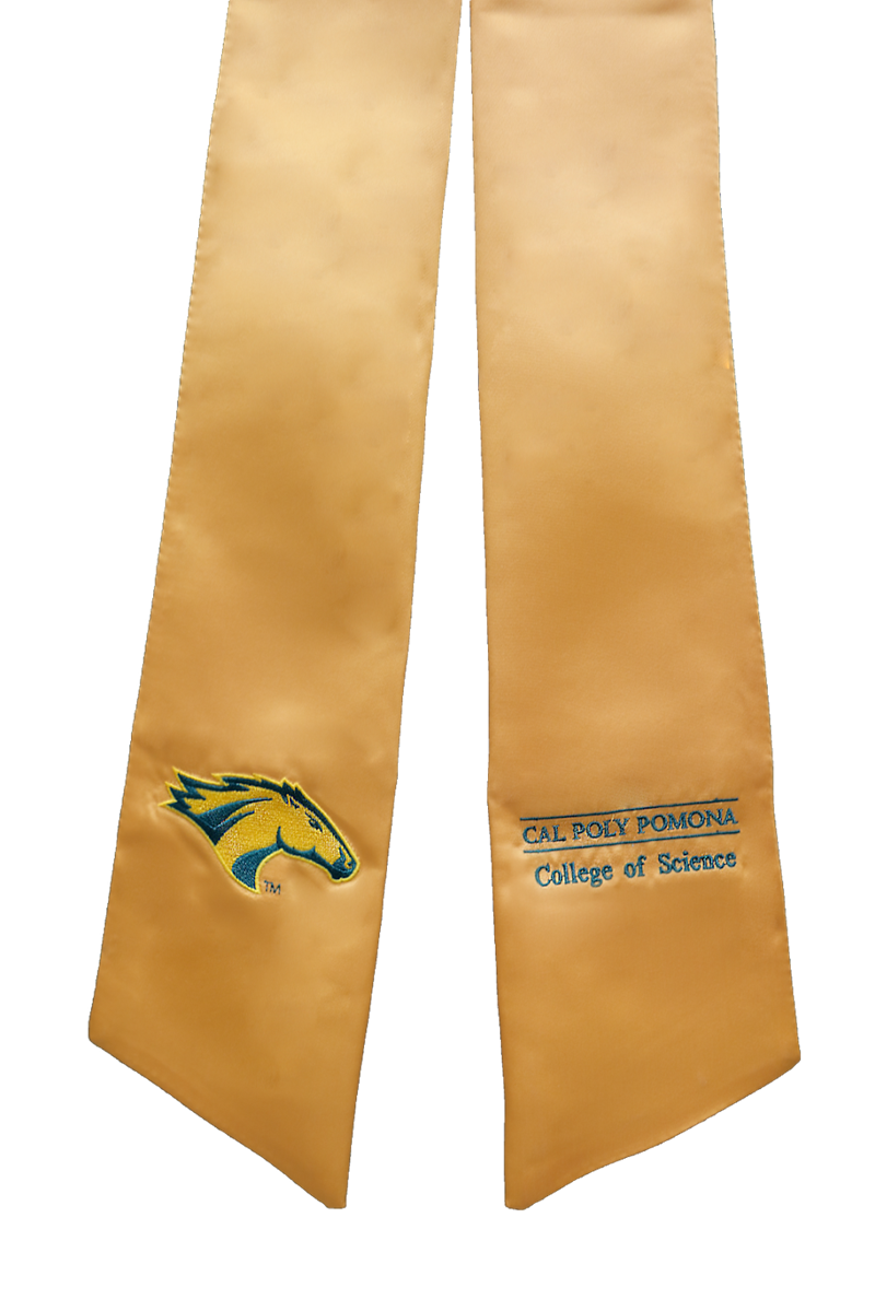 Degree Mini Stole - Science (Bs) - Gold | Bronco Bookstore